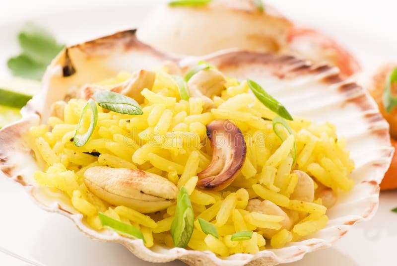 Scallop with Rice stock image. Image of light, conch - 17104027