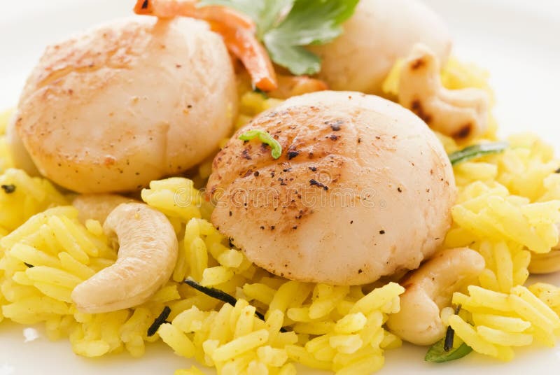Scallop with Rice stock image. Image of delicacy, light - 17791403