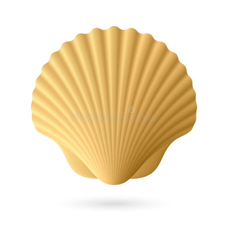 Scallop Seashell, an Empty Shell of a Sea Mollusk. Colorful Cartoon ...