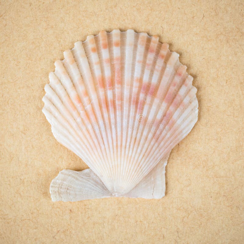 Kraft paper stock photo. Image of abstract, handmade - 18215274