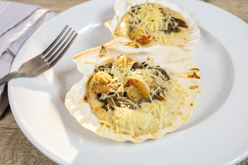 Scallop Shell and Mushrooms Stock Image - Image of shell, french: 180019133