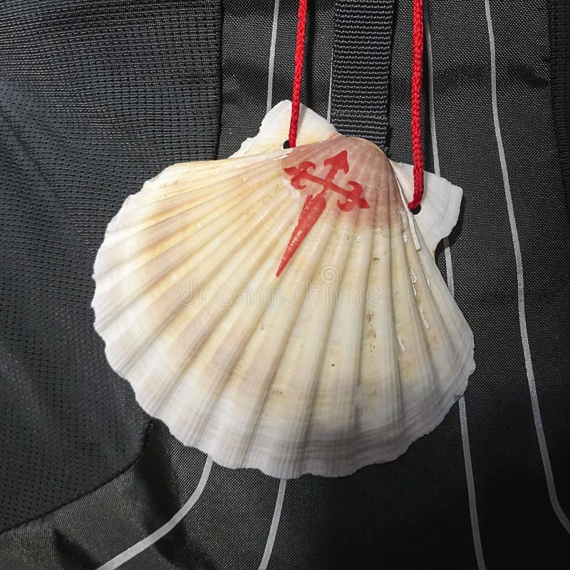 Scallop Shell, Pilgrim Symbol, Way of St James, Camino De Santiago ... Scallop Shell, Pilgrim Symbol, Way of St James, Camino De Santiago ...