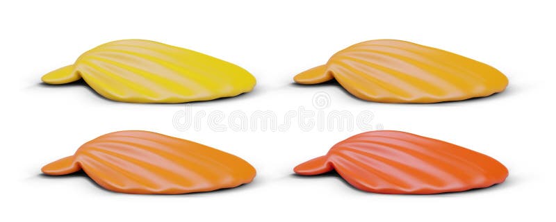 Scallop Shell, Side View. Set of Illustrations in Different Colors ...