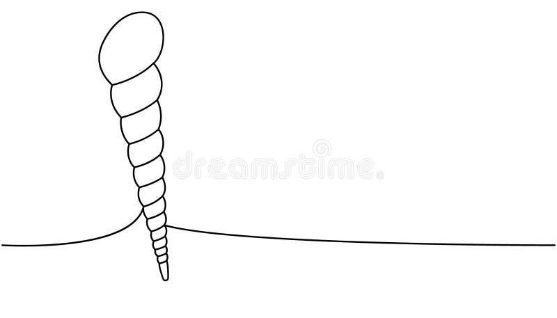 Scallop Shellfish One Line Continuous Drawing. Tropical Underwater ...