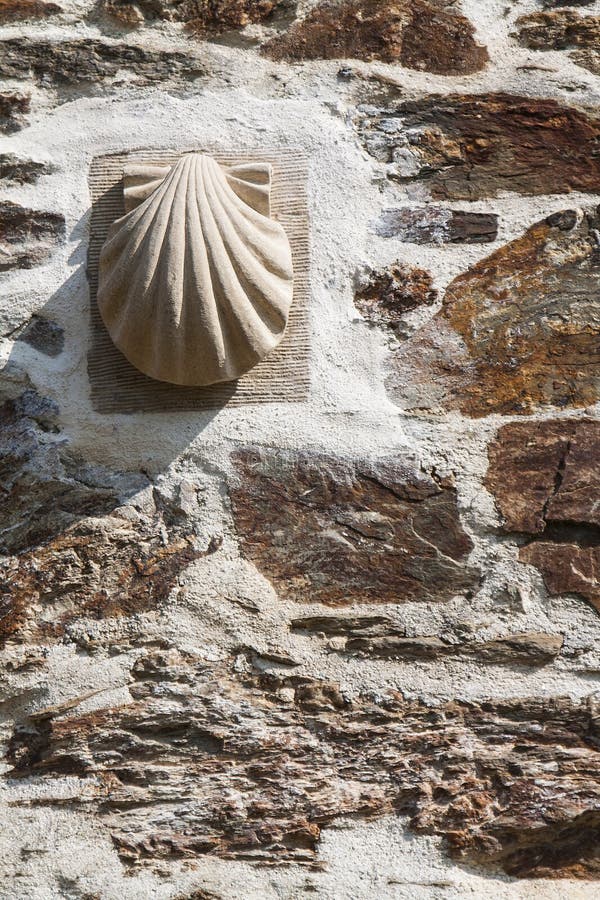 Scallop on stone wall stock image. Image of concepts - 33051925