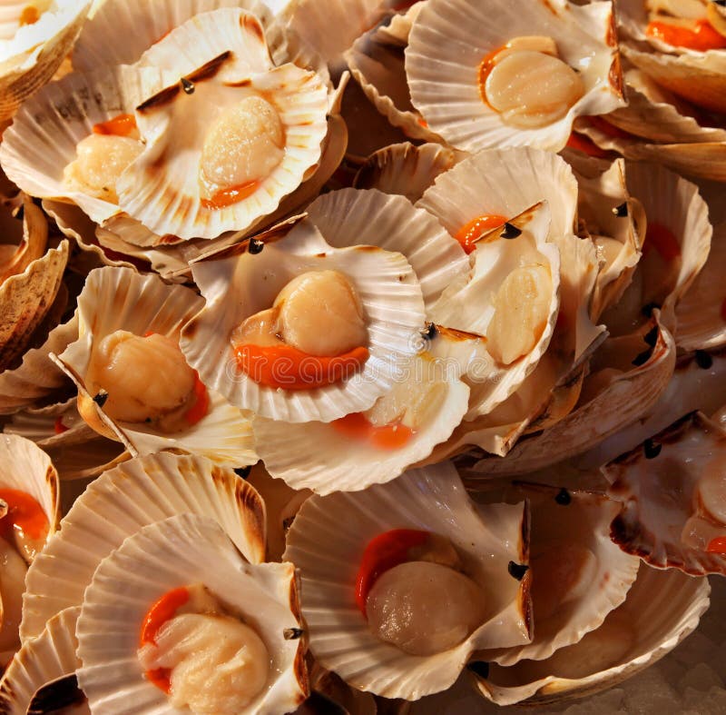 Special French Food Scallops Stock Photo - Image of typical, france ...