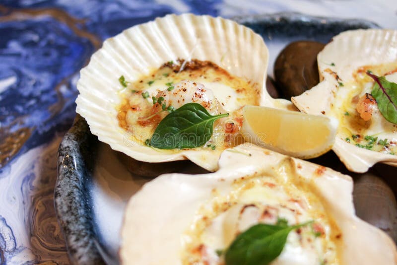 Scallops on Blue Plate with Lemon Stock Photo - Image of eating ...
