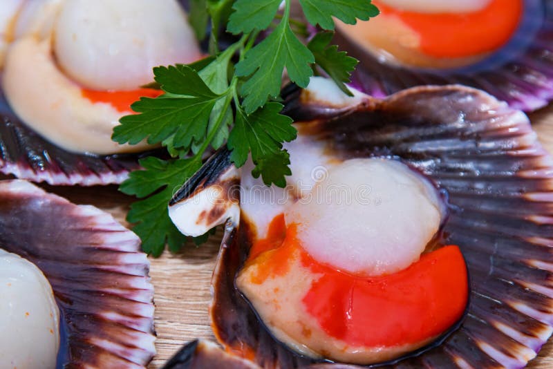 Scallops clean raw stock photo. Image of galicia, scallops - 218563222