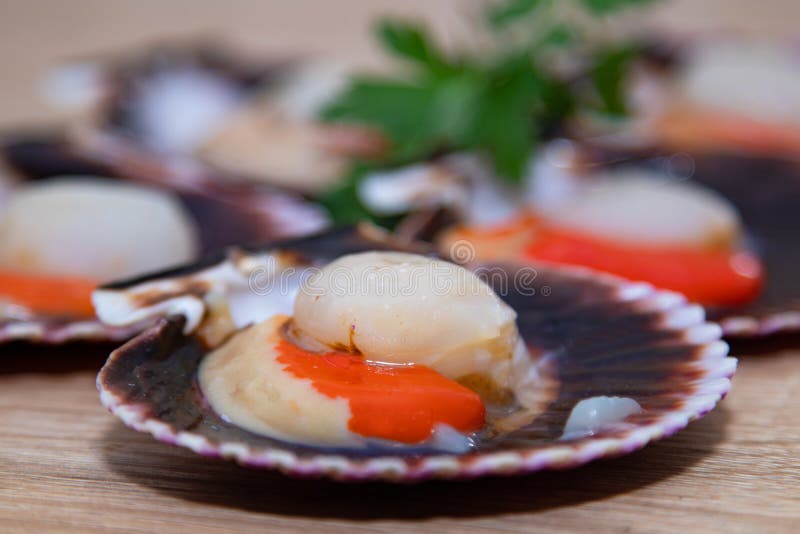 Scallops clean raw stock photo. Image of bivalve, shell - 218563212