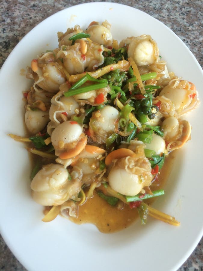 Scallops of fish meatballs stock image. Image of scallops - 63371887