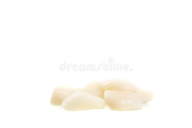 Scallops isolated stock photo. Image of fresh, closeup - 136982334