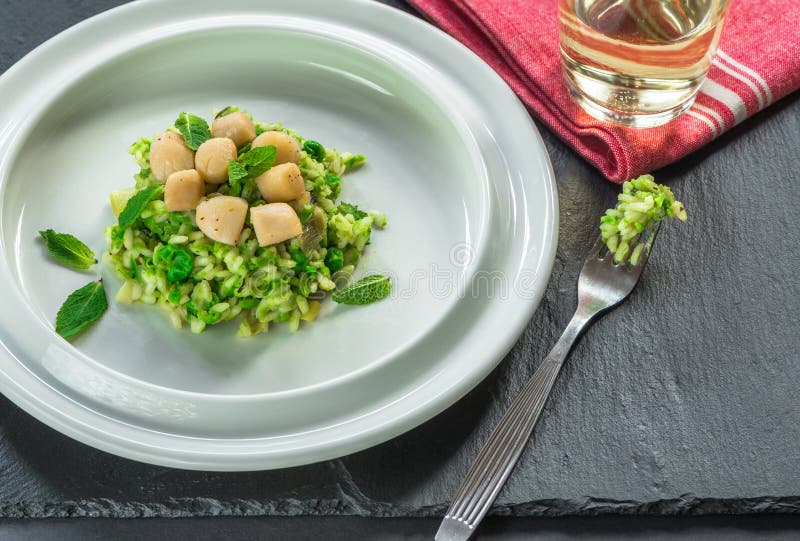 Scallops on Minted Pea Risotto Stock Image - Image of dish ...