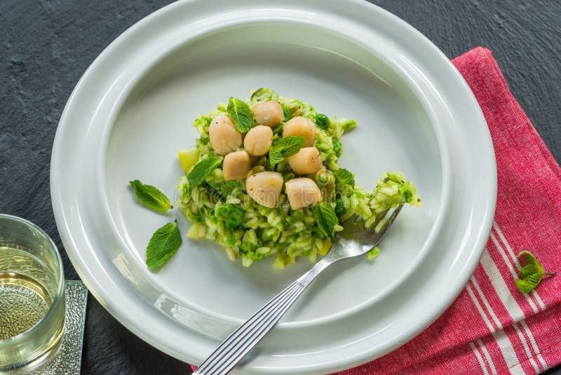 Scallops on Minted Pea Risotto Stock Photo - Image of minted, mussel ...