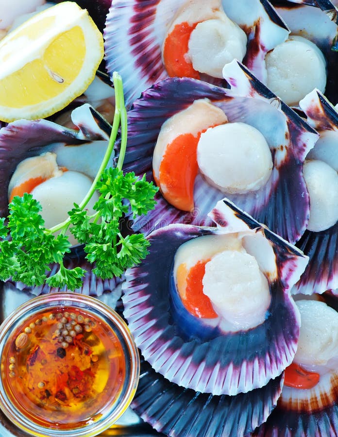 Scallops stock image. Image of shell, seasoning, prepared - 53115187