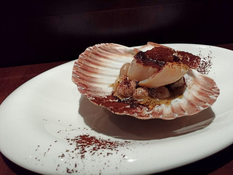 Scallops stock image. Image of shell, scallops, beans - 44091707