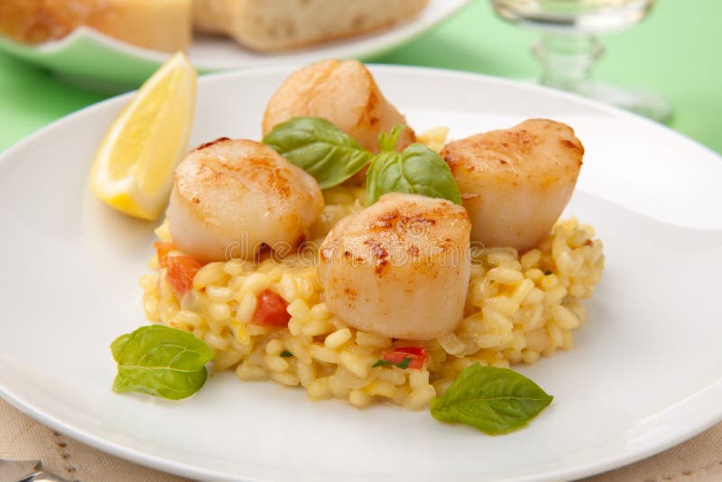 Scallops Risotto stock photo. Image of lemon, wine, drink - 13429024