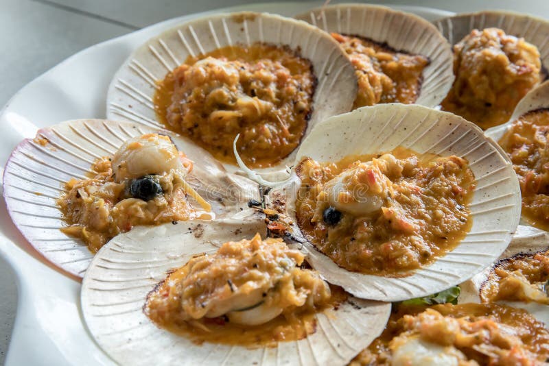 Scallops Shell Cooked with Creamy Sauce, Served in the Shell on the ...