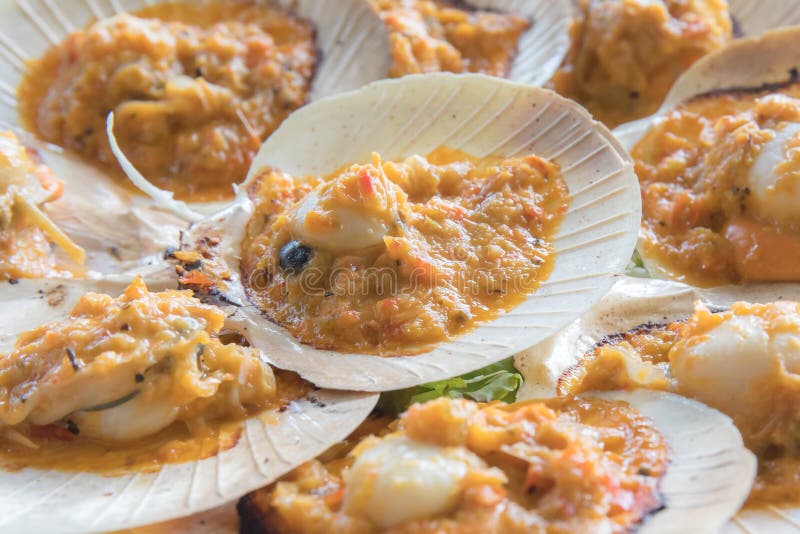 Scallops Shell Cooked with Creamy Sauce, Served in the Shell on the ...