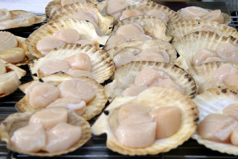 Scallops with Shell Cooking on Grill Stock Image - Image of foreign ...