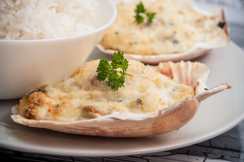 Scallops Shell and Rice in a Plate Stock Photo - Image of eating, dish ...