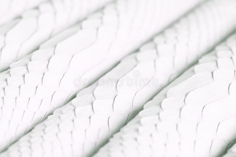 Ornate Rattlesnake Drawing Stock Photos - Free & Royalty-Free Stock ...