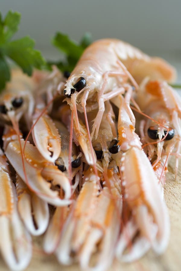 Scampi stock photo. Image of dinner, isolated, health - 10689134