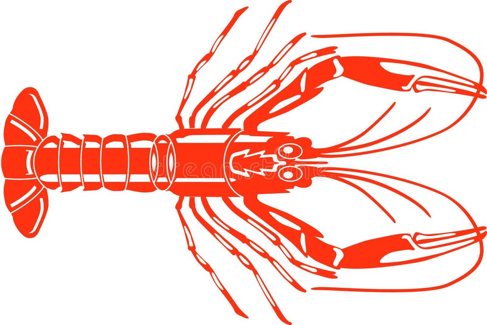 Scampi stock illustration. Illustration of ocean, scampi - 10976172