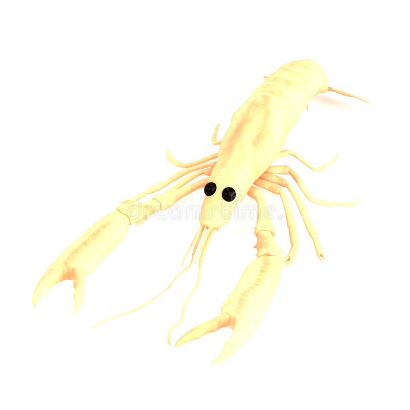 Scampi stock illustration. Illustration of food, ocean - 23592140