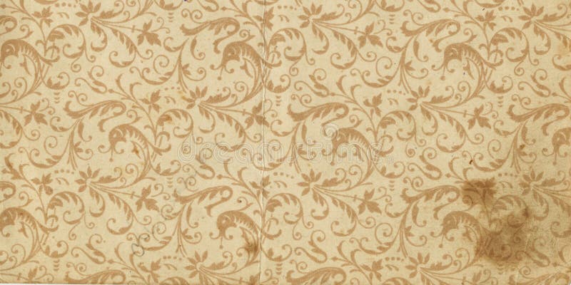 Scan the Flyleaf of an Old Book, Yellow-gray-brown, with Dense and ...