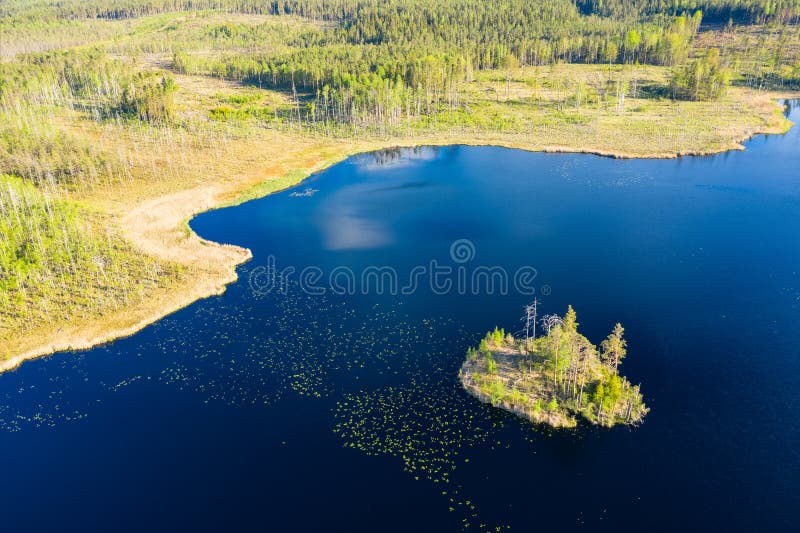 Scandinavia. Forest Lake with the Island Aerial View Stock Image ...