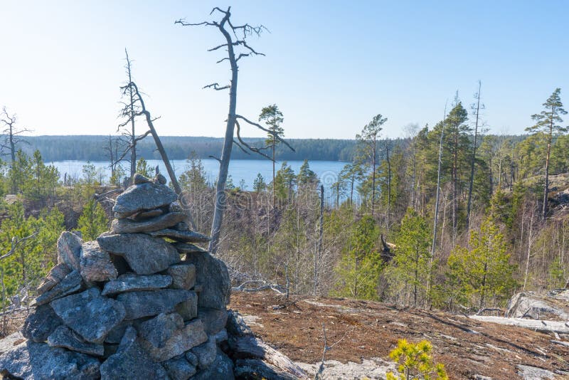 Scandinavian Forest in Spring. Stock Image - Image of spring, beautiful ...
