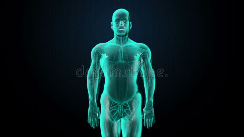 Scanning Blood Vessel in Male Body. X-ray View Stock Video - Video of ...