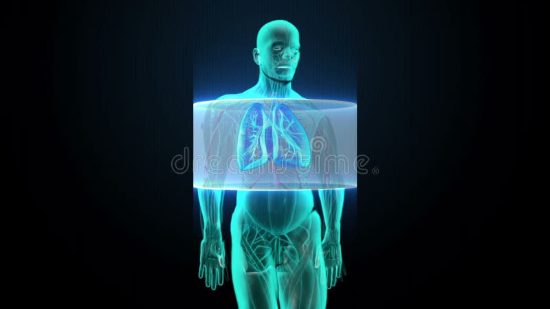 Scanning Body. Rotating Human Female Lungs, Pulmonary Diagnostics in ...