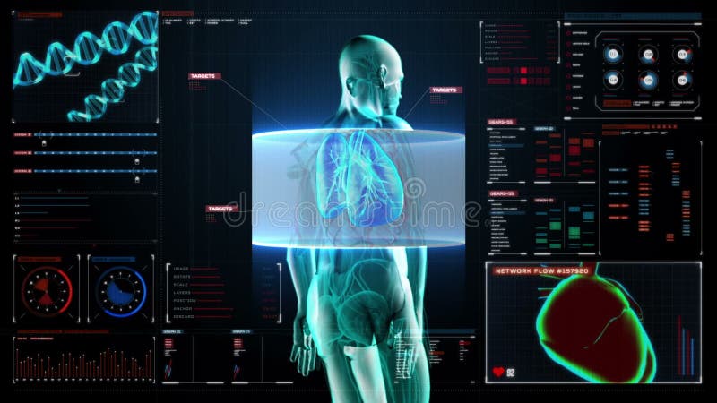Scanning Body. Rotating Human Female Lungs, Pulmonary Diagnostics in ...