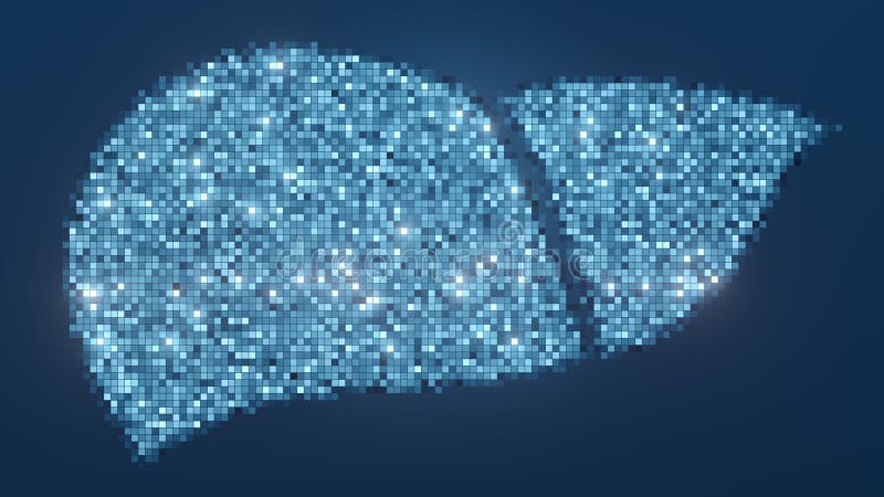 Liver Pixel Art. Human Internal Organs 8 Bit. Pixelate Anatomy 1 Stock ...