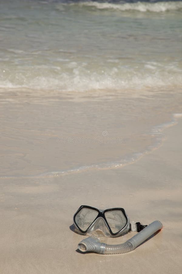 Scaphandre Autonome Sur La Plage Photo stock - Image du tourisme, bain ...