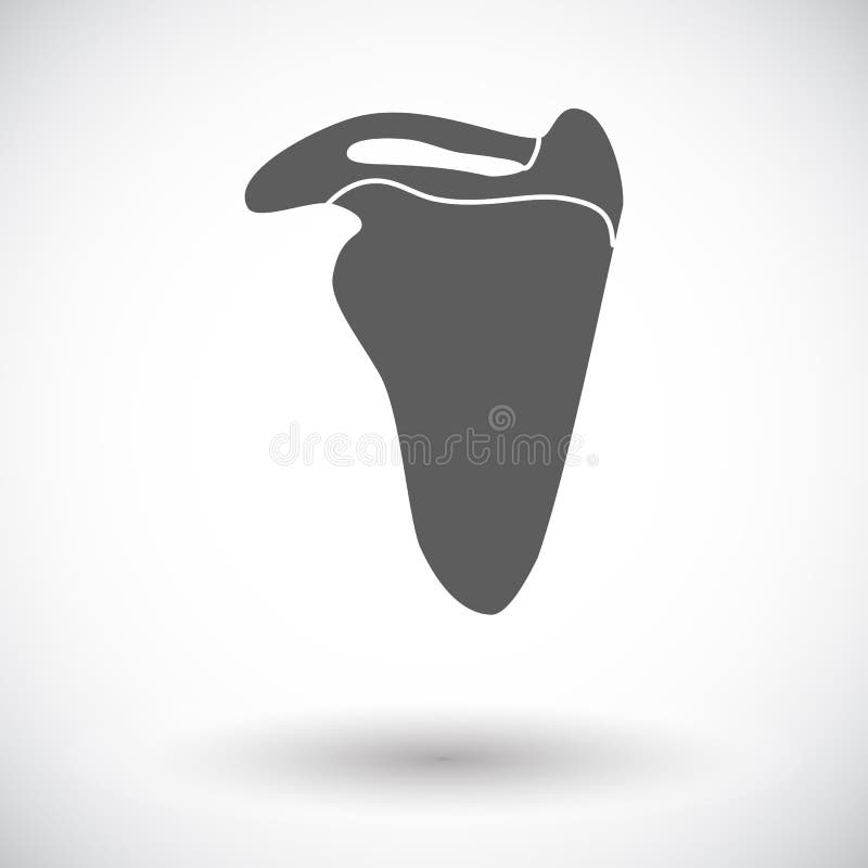 Scapula stock vector. Illustration of skeleton, vector - 90296664