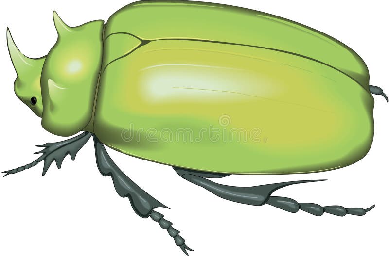 Scarab Beetle Stock Illustrations – 4,683 Scarab Beetle Stock ...