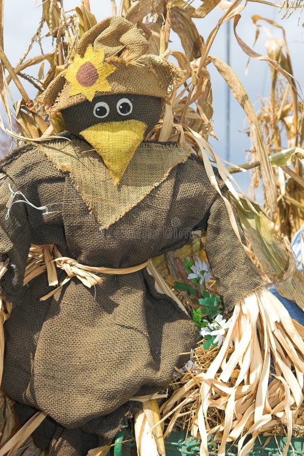Scare crow 1 stock photo. Image of corn, rural, flowers - 1413684