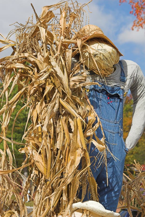 Scare Crow stock photo. Image of crops, wagon, squash - 1413688