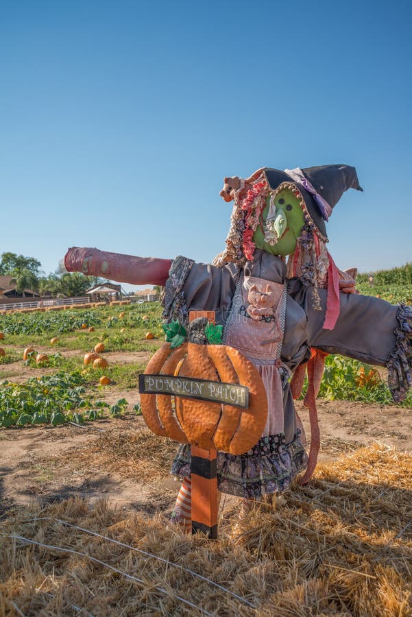 Scare crow stock image. Image of dressed, harvest, outdoors - 60279829