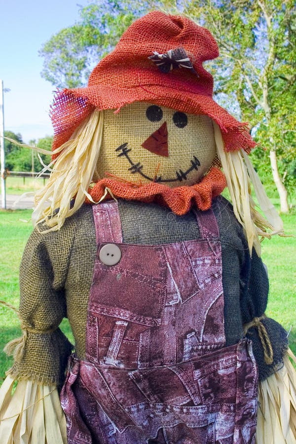 Scarecrow stock photo. Image of crow, smile, head, scare - 1221652