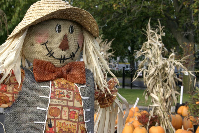 A Fall Scene with Scarecrows Stock Image - Image of stalks, displays ...