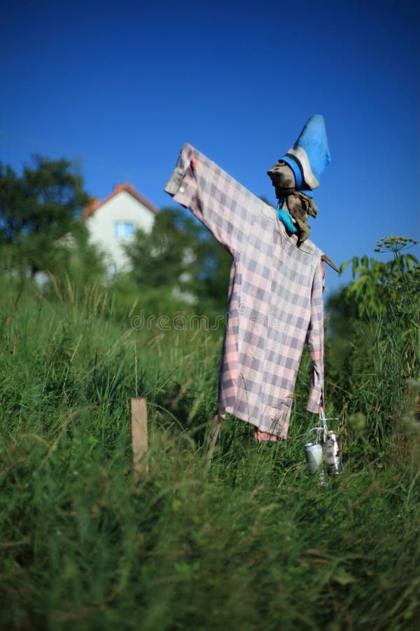 Scarecrow stock photo. Image of plant, scarecrow, guard - 161956