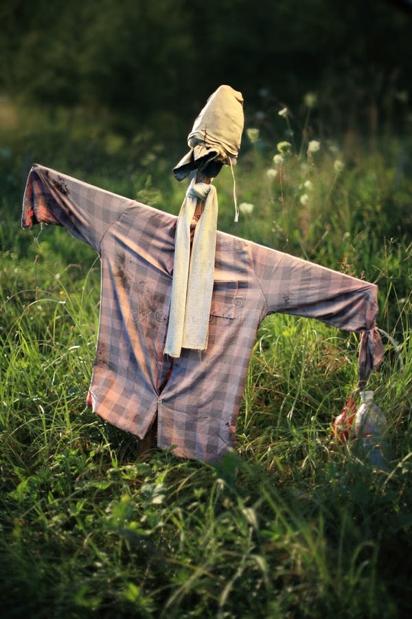 Bee-garden stock photo. Image of beehive, outside, green - 15324354