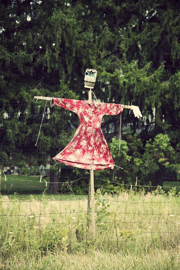 Scarecrow stock photo. Image of tree, agriculture, valley - 26918724
