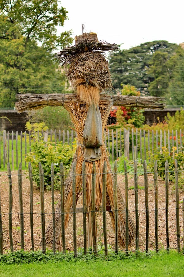 Scarecrow stock image. Image of farm, leaf, fall, decorative - 27594221