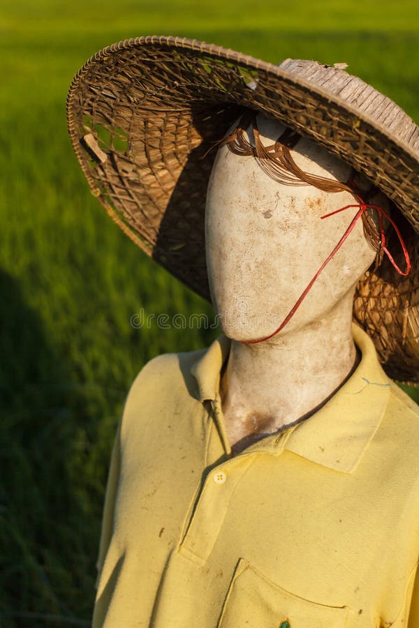 Scarecrow stock image. Image of plant, wood, ground, bird - 41398461