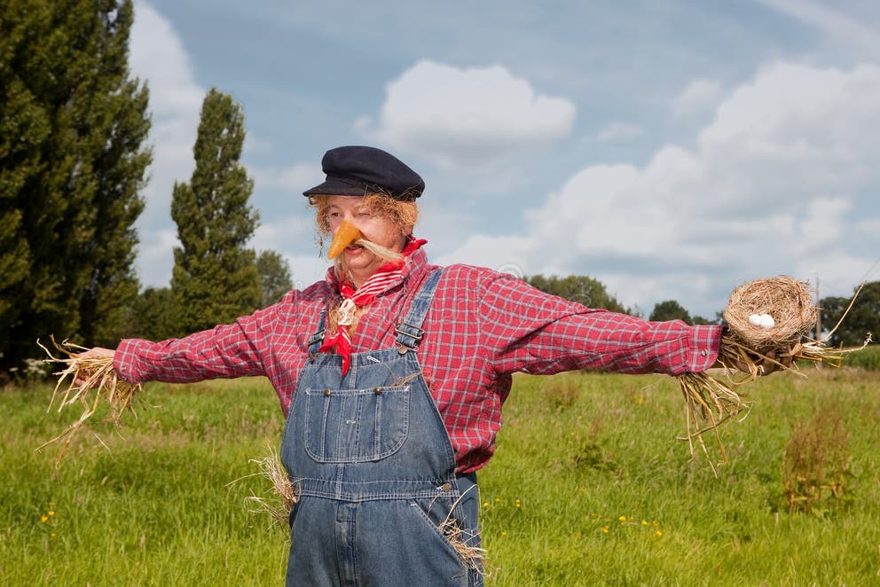 Scarecrow alive stock photo. Image of figurine, grass - 13890560