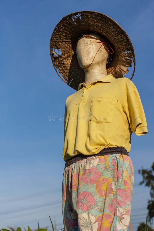 Scarecrow stock photo. Image of ground, soak, puppet - 41398464